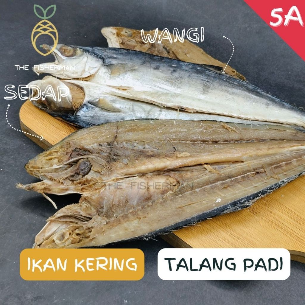 🐟 Ikan Masin Talang Padi Ikan Talang Padi Masin Ikan Kering Talang Padi ...