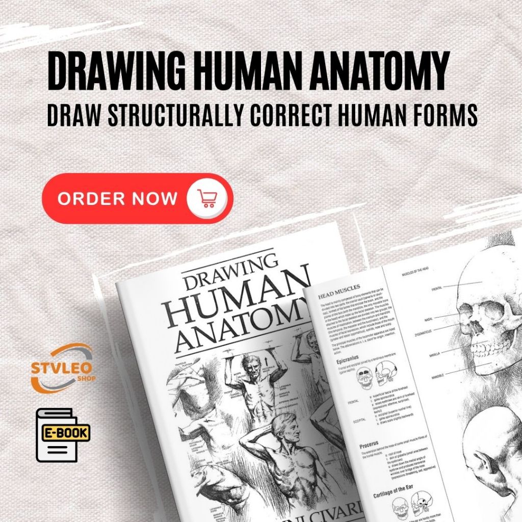 Drawing Human Anatomy: Draw Structurally Correct Human Forms | Shopee ...