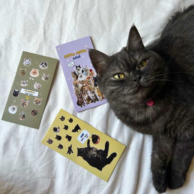 Sampul Raya Kucing by Yemmeow (10pcs) | Shopee Malaysia