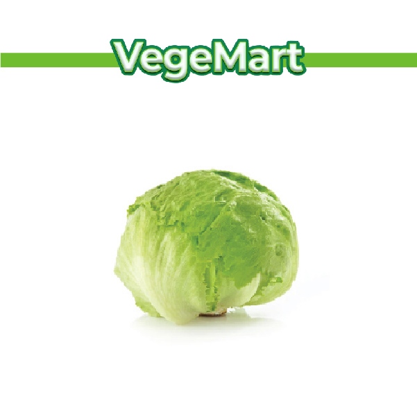 [Fresh Vege] Iceberg Lettuce Salad Bulat 1pcs | Shopee Malaysia
