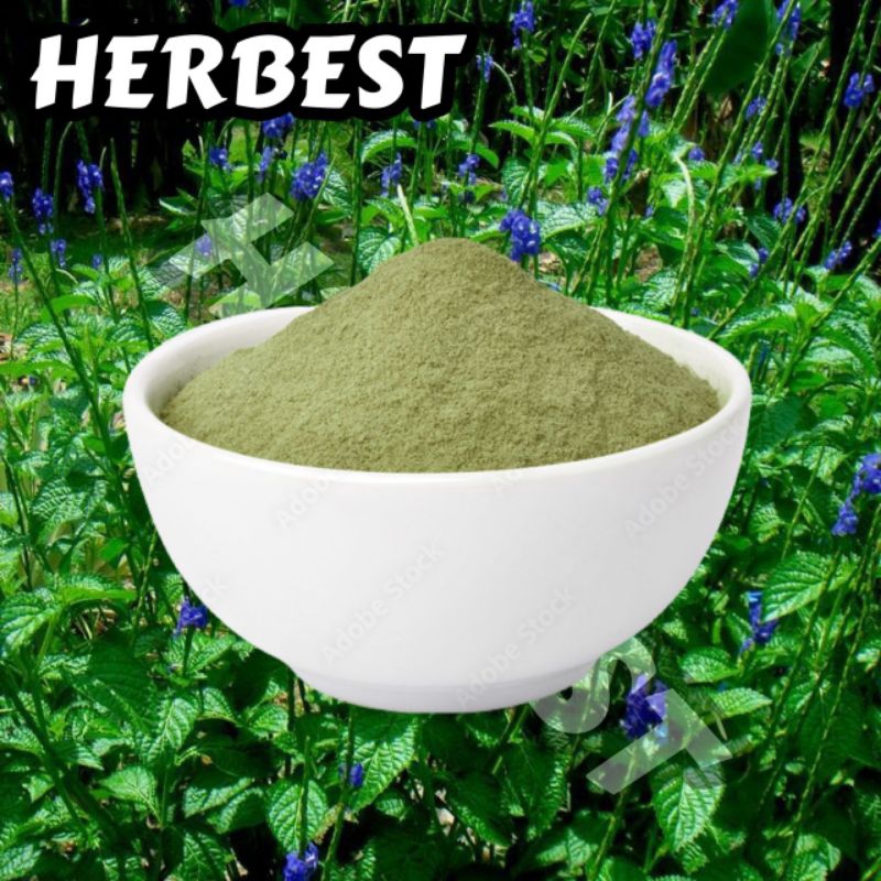 KECACINGAN SERBUK POKOK JOLOK CACING, EKOR ULAR 1kg | Shopee Malaysia