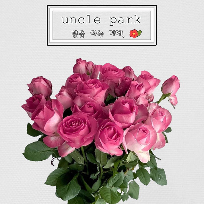 🌹(20pcs) ROSES 玫瑰 FRESH FLOWER BUNGA SEGAR ROSE Cameron Highlands ...