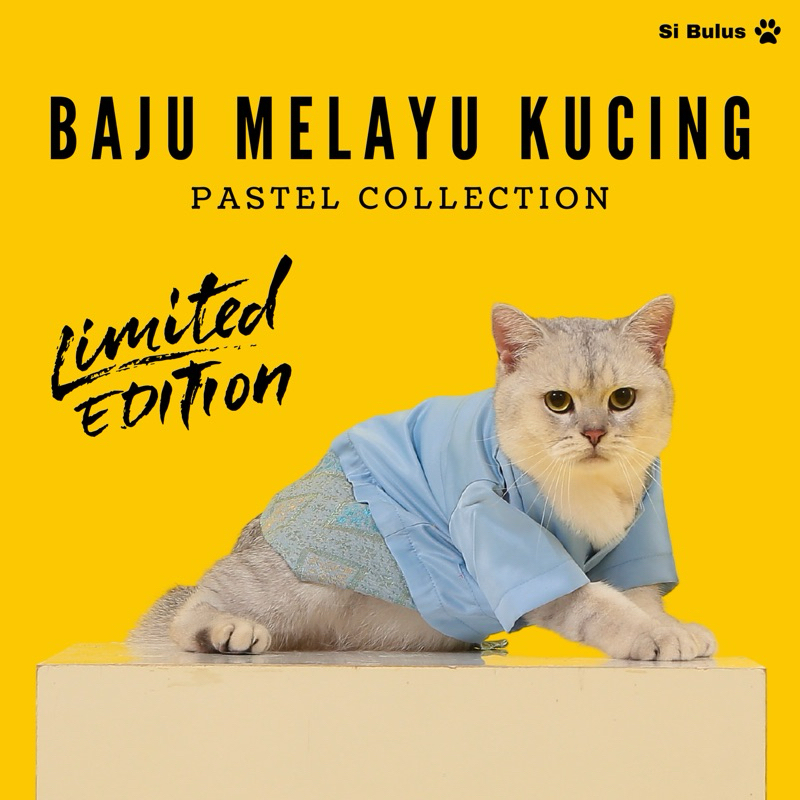Baju Melayu Kucing Cekak Musang Pastel Collection LIMITED EDITION ...
