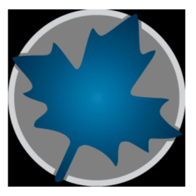 Maplesoft Maple v2024.2 - Windows (64-bit) | Shopee Malaysia