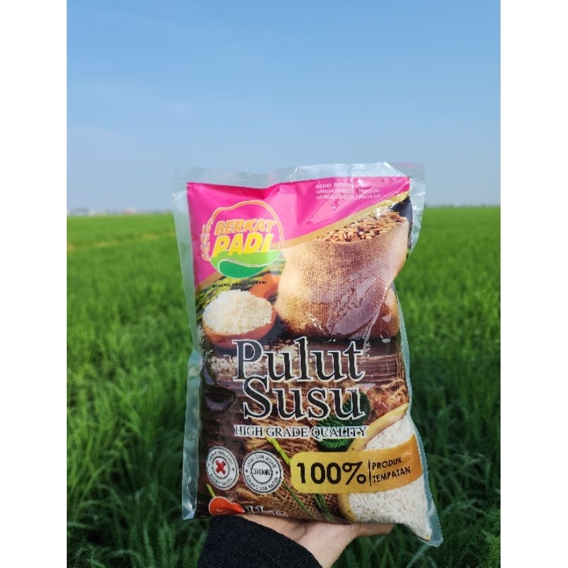 BERAS PULUT SUSU TEMPATAN 1 kg Tanam DI Selangor. Glutinous Rice Berkat ...
