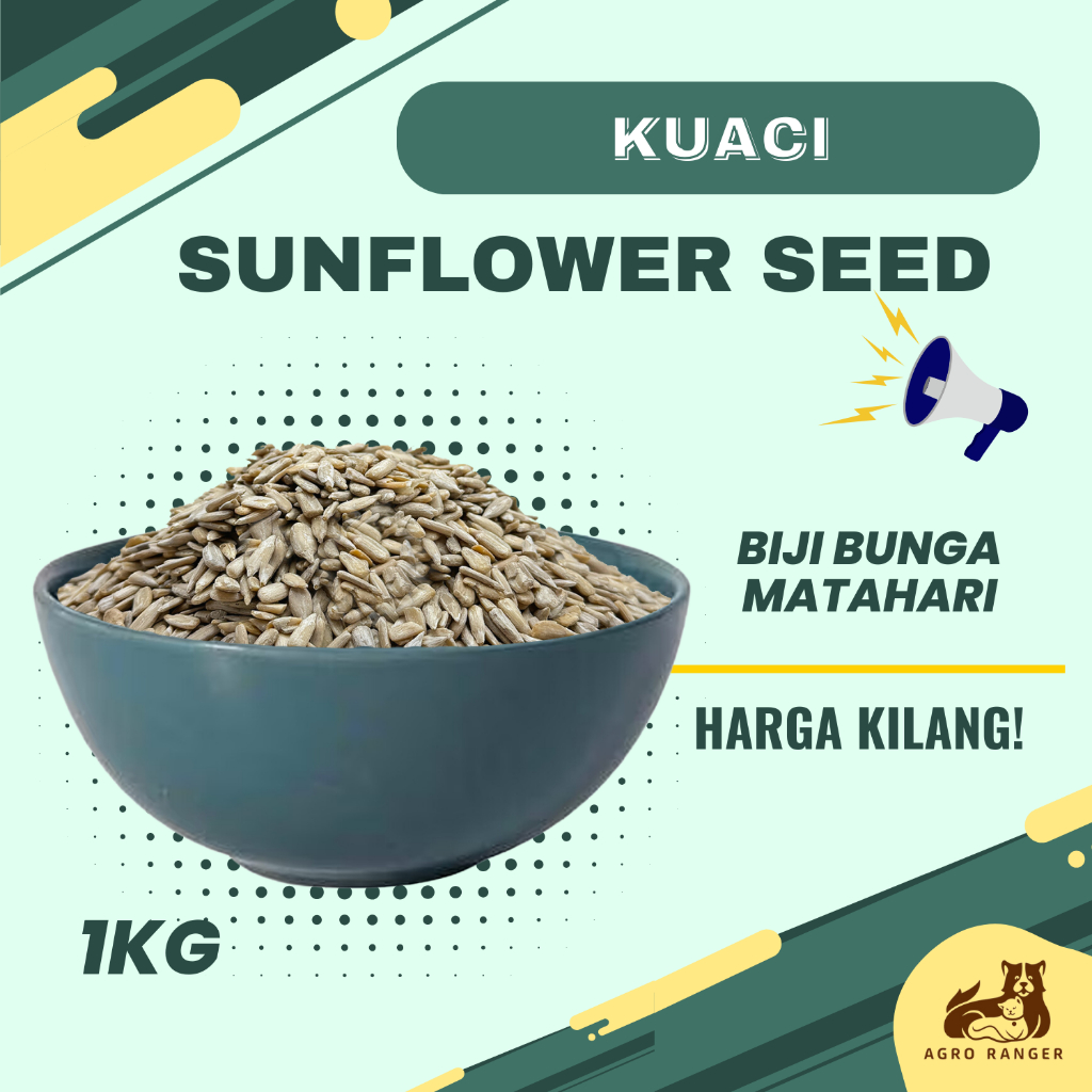 SUNFLOWER SEEDS KERNEL 1kg | BIJI BUNGA MATAHARI | 向日葵仁1kg | Shopee ...
