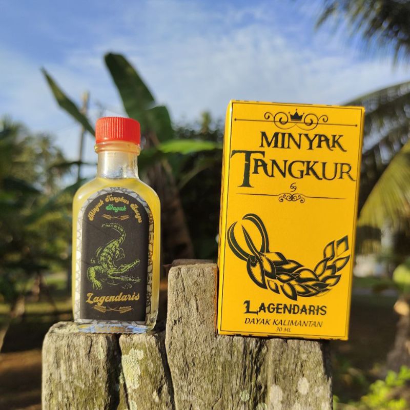 MASSAGE OIL MINYAK TANGKUR BUAYA ORIGINAL DAYAK KALIMANTAN | Shopee ...