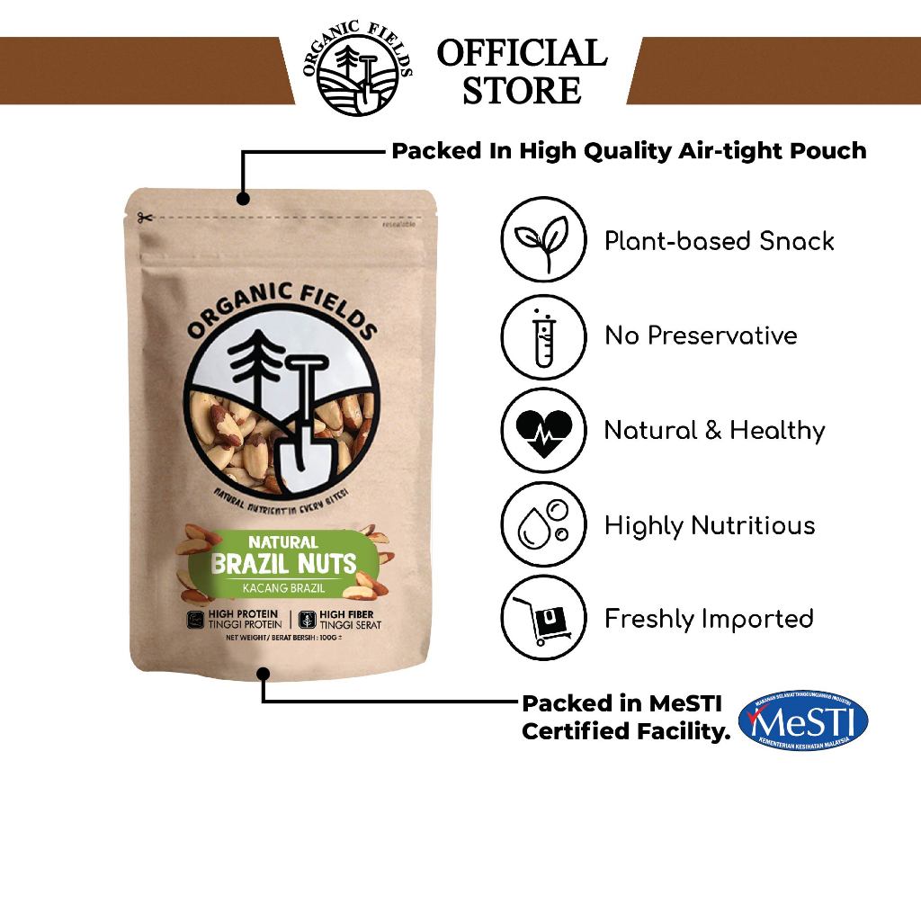 ORGANIC FIELDS Natural Brazil Nuts (100g) | Healthy Snack | | Shopee ...