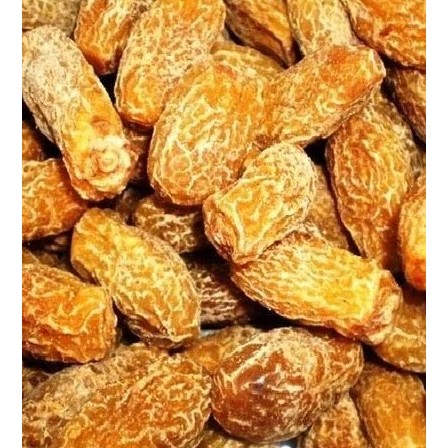 Imported Dry Dates (100g/200g/500g) | Shopee Malaysia