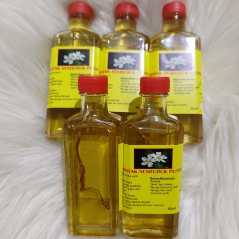 Minyak Senduduk Putih & Bunga Senduduk Putih Langkawi 💯 original ...