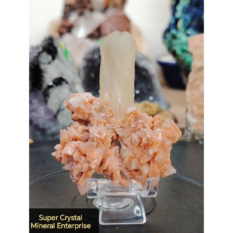 (Local Ready stock/本地现货)天然印度收藏等级黄色辉沸石共生片沸石水晶原矿(Natural Collection India ...