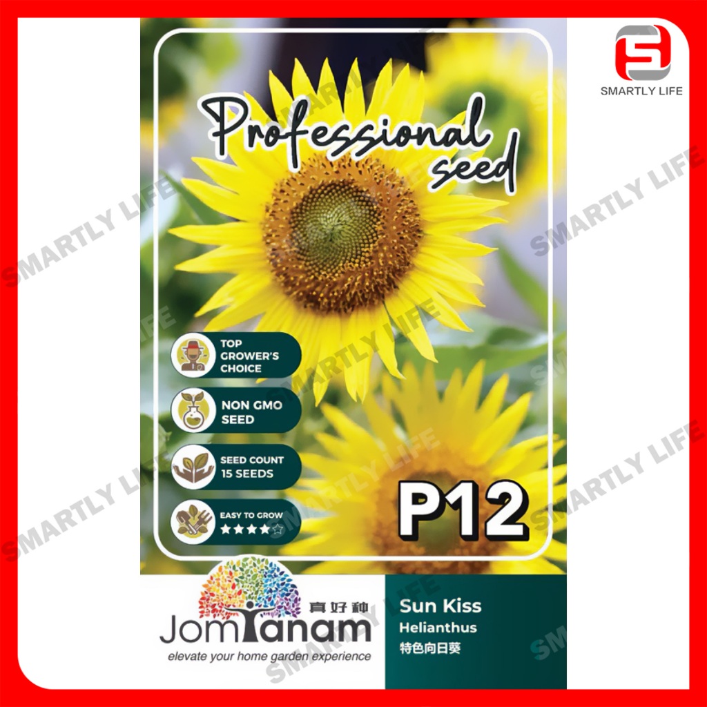 Helianthus Sun Kiss Sunflower 特色向日葵 Jom Tanam Seeds Benih 种子 JT-P12 ...