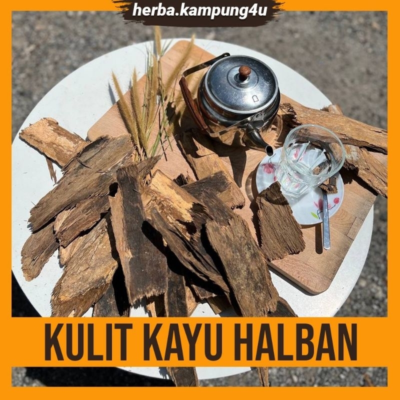 [KULIT KAYU HALBAN /KAYU LEBAN] - Herba Tradisi Penyembuh Luka ...