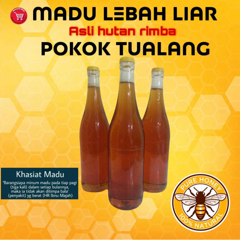 MADU Lebah Asli Honey Giant B Pure Honey Original Madu Asli Semulajadi Hutan Simpan Perik ...