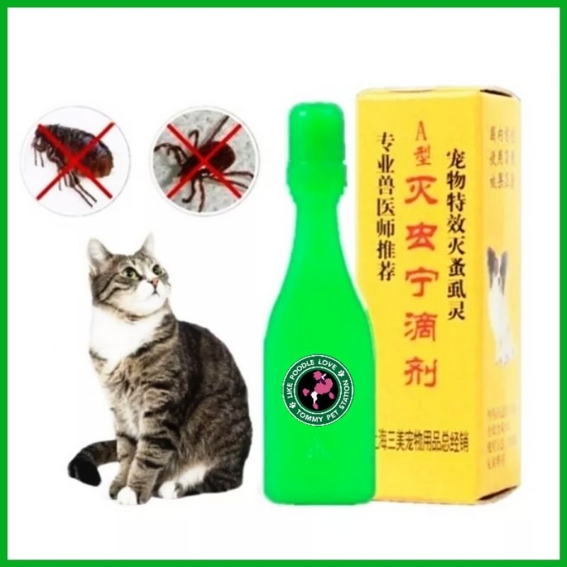 Ubat Kutu Kucing Ubat Kutu Kucing Paling Berkesan / Cat Flea out ...