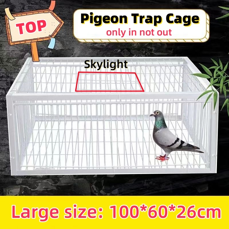 Pigeon Cage Only Can In Not Out Skyset Cage Encrypted Bird Cage Active ...