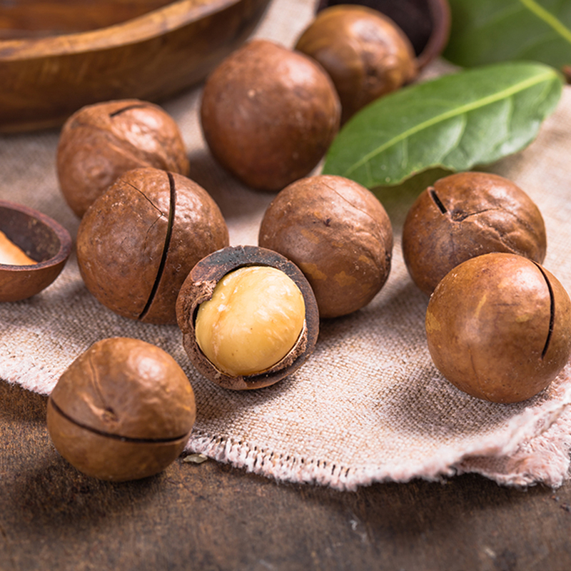 READY STOCK🔥500g Macadamia Nuts With Shell Ready To Eat Macadamia Nuts ...