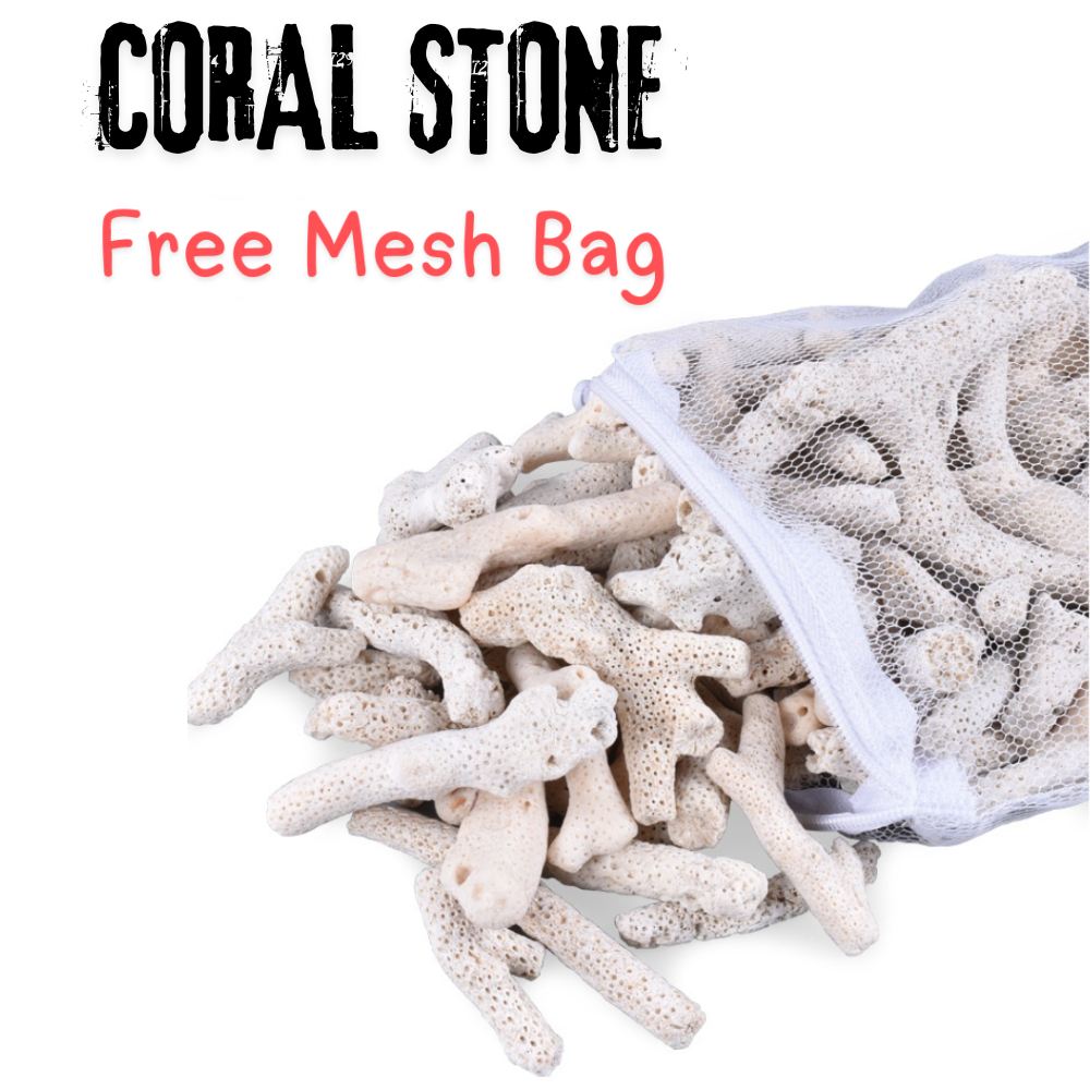 Coral Stone Bio Filter Media Aquarium Coral Bone Stone Aquascaping Batu ...