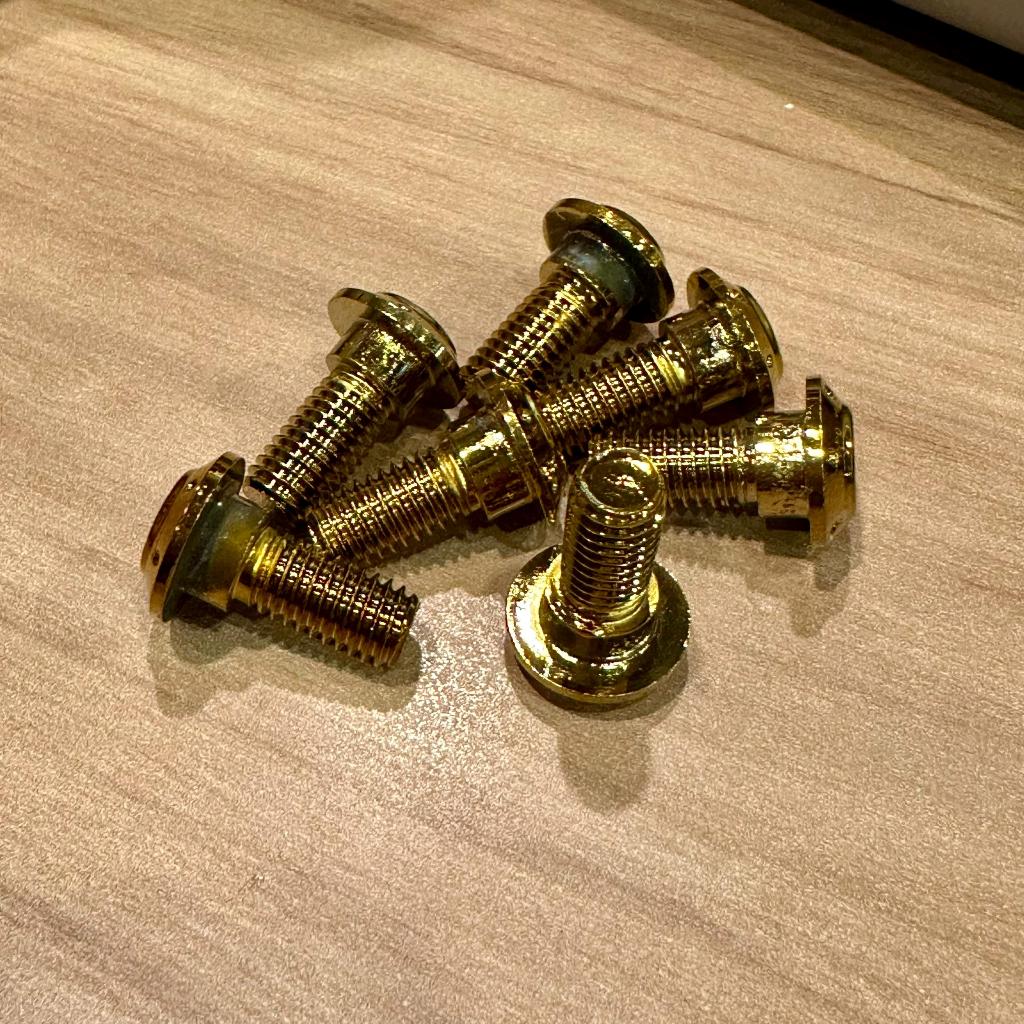 ALLOY SKRU M8*20MM Screw Sprocket Hub Skru Footrest Gold Titanium ...