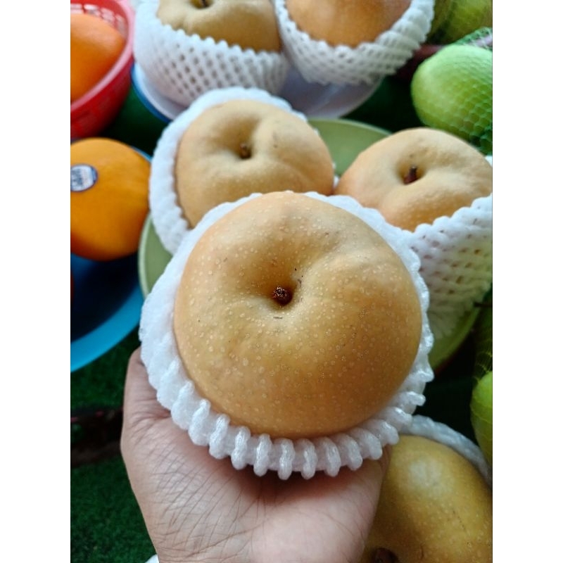 {FRESH FRUIT} PEAR SINGOR KOREAN 1PCS | Shopee Malaysia
