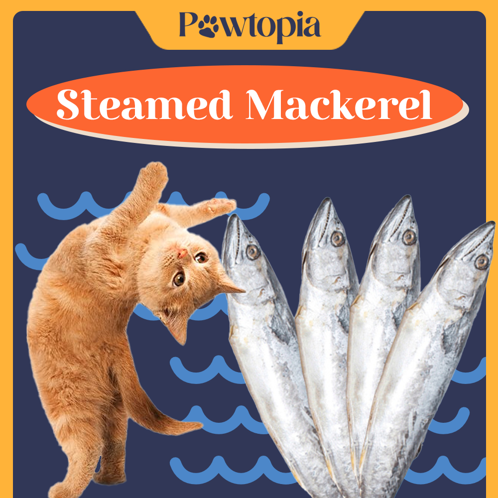 PAWTOPIA MASTI Cat Steamed Mackerel Whole Fish Pet Food Snacks Treats ...