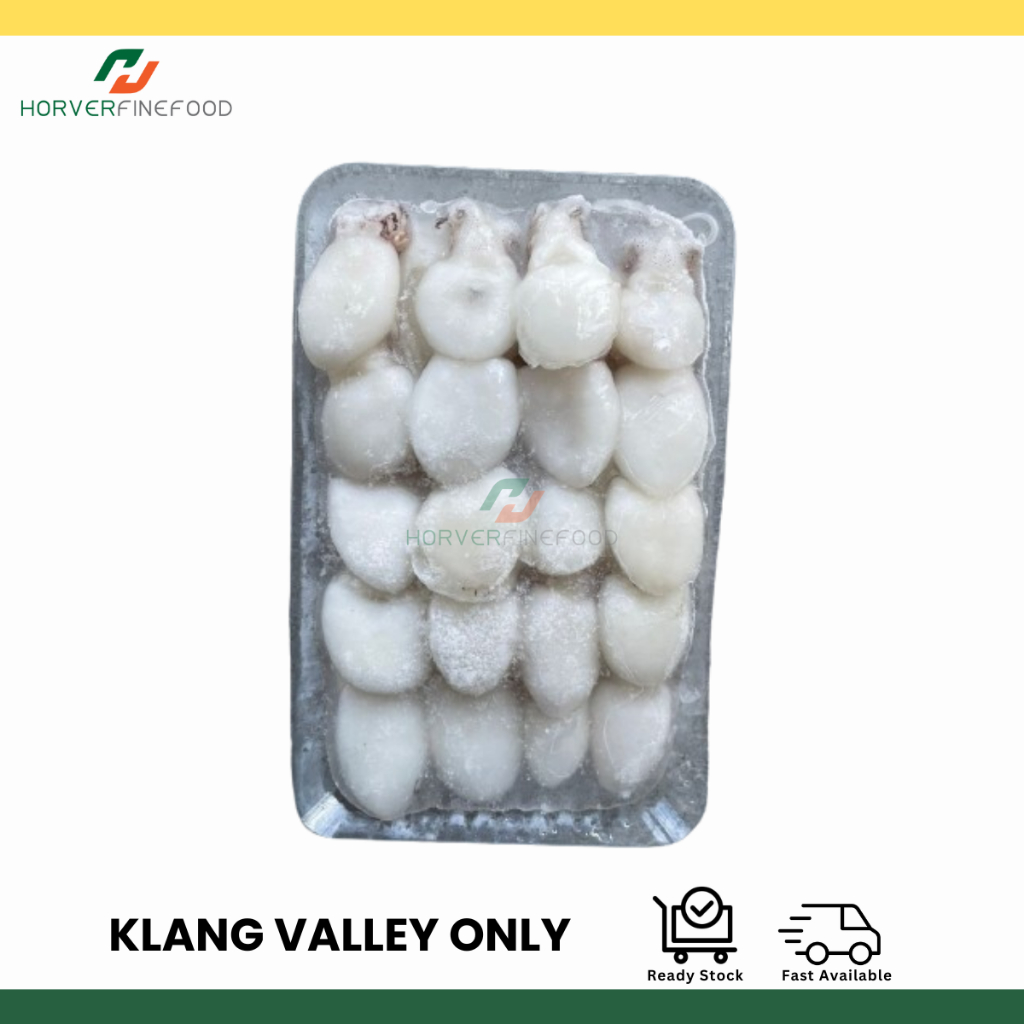 [Frozen] Baby Cuttlefish 300GM (20PCS) 墨鱼仔 [KLANG VALLEY ONLY] | Shopee ...