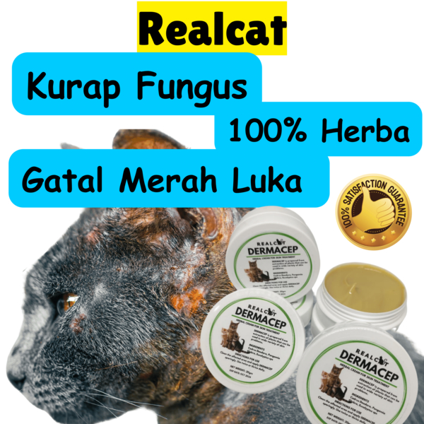 KRIM HERBA KURAP FUNGUS RINGWORM LUKA KUDIS GATAL KUCING CAT (15G ...