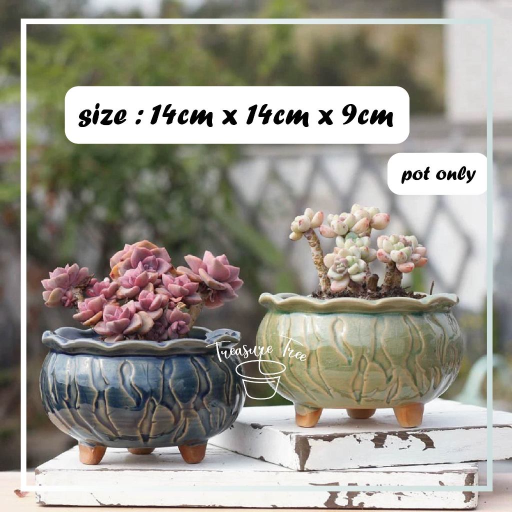 [Treasure Tree] Succulent Plant Pots Large Diameter Cracked Flower Pots ...