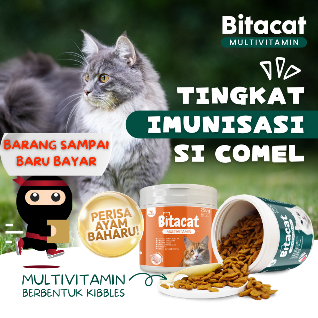 [PAKMANSORFARM] BITACAT VITAMIN KUCING GEMUK KIBBLES UPHAVIT READY ...