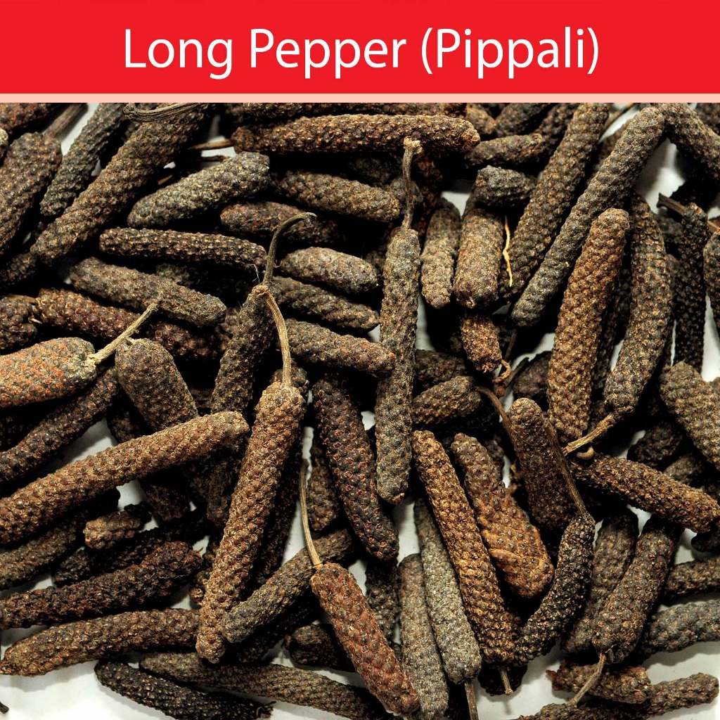 Long Pepper | Piper Longum | Bengal Pepper | Pipli (Product of India ...