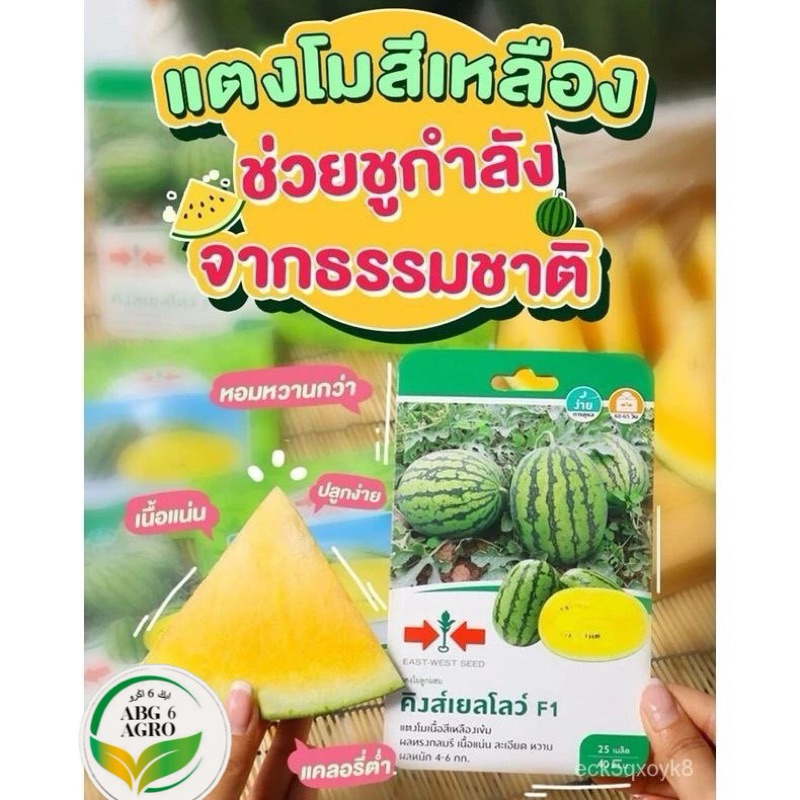 25Biji Benih Tembikai Kuning F1 Hibrid / Yellow Watermelon / East West ...