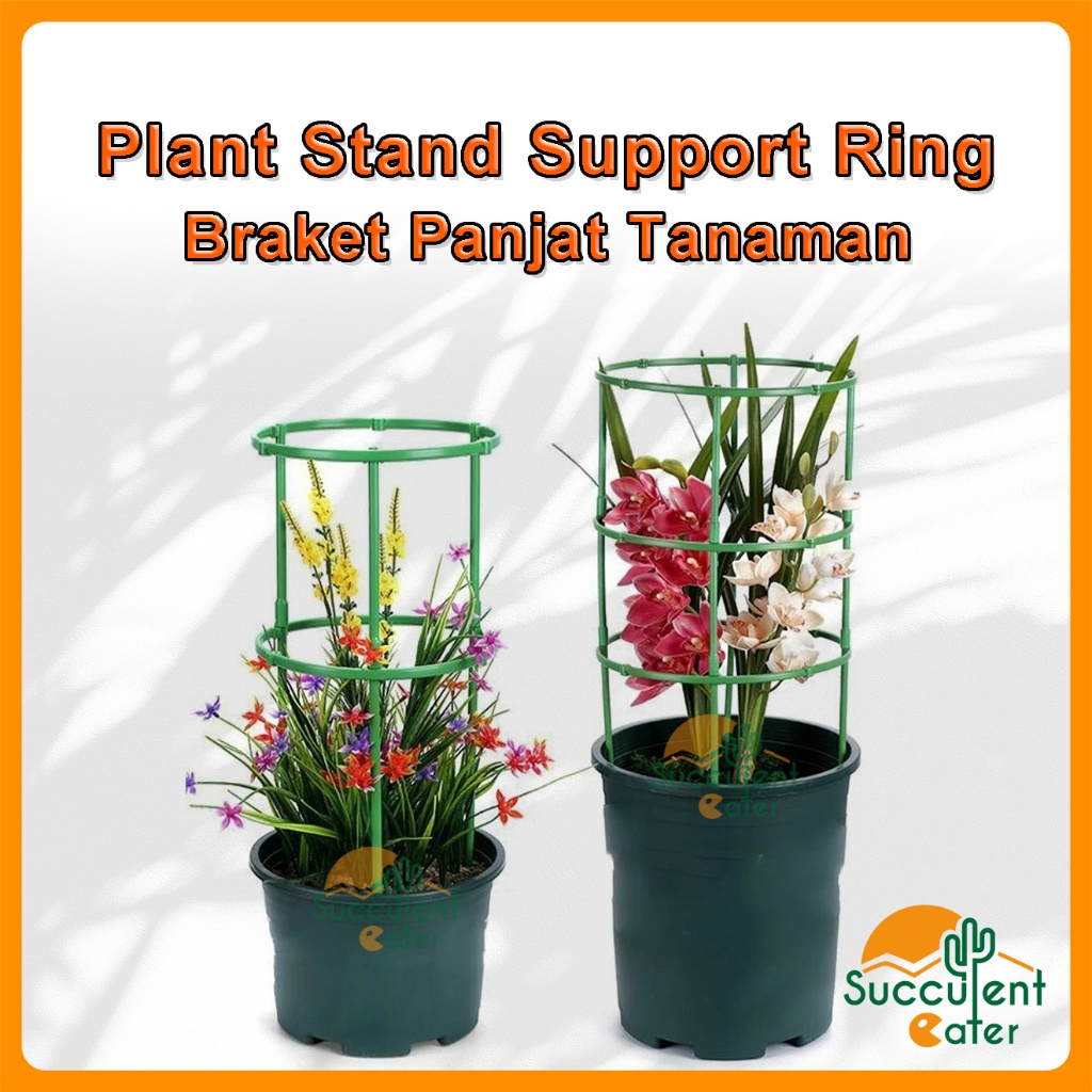 Stackable Plant Support Ring Rack Bracket Braket Panjat Tanaman Pokok ...