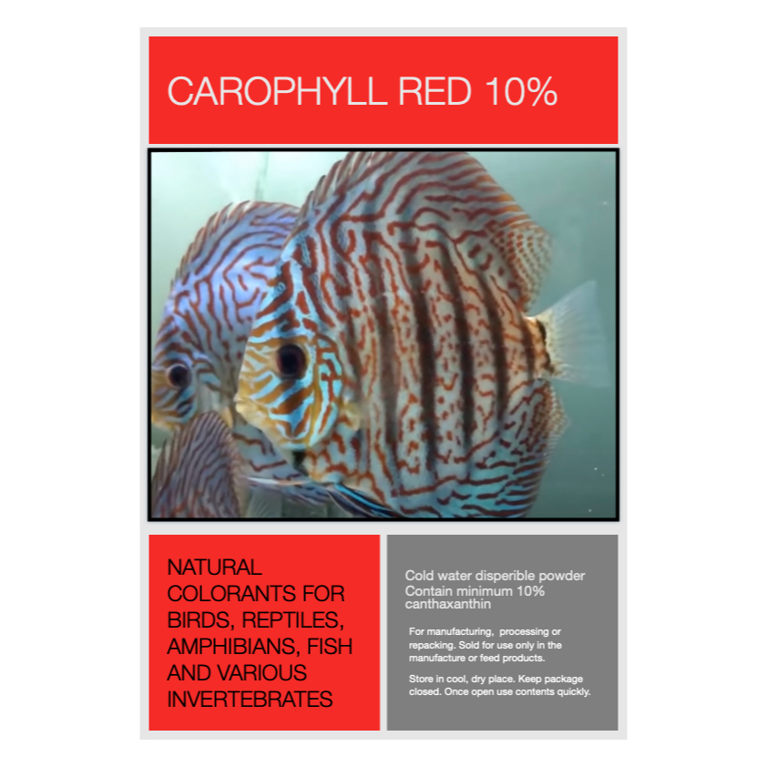Carophyll Red and Carophyll Yellow For Ornamental Fish, Bird | Shopee ...