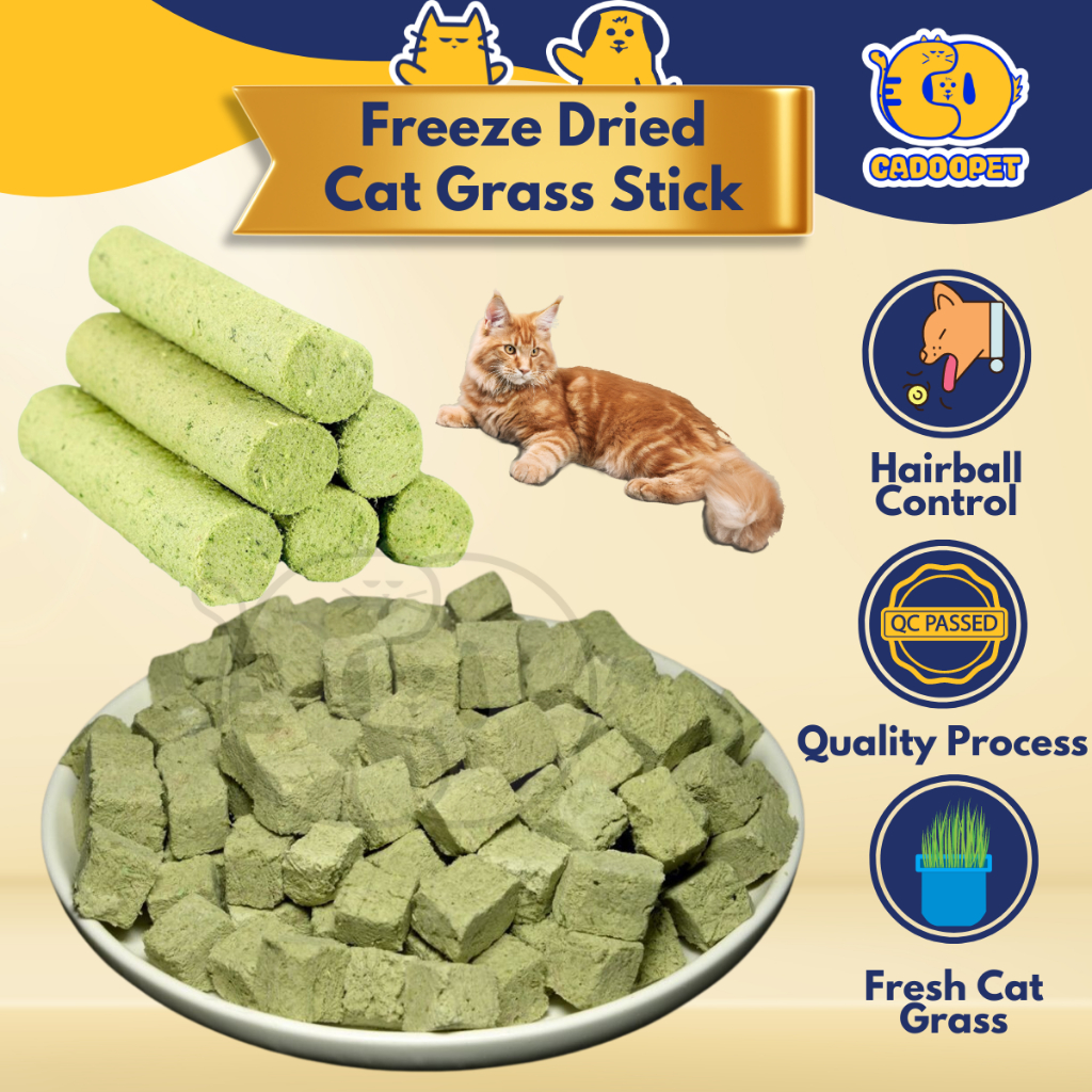 Premium Cat Grass Stick & Cube 200G Freeze Dried Cats Makanan Rumput ...