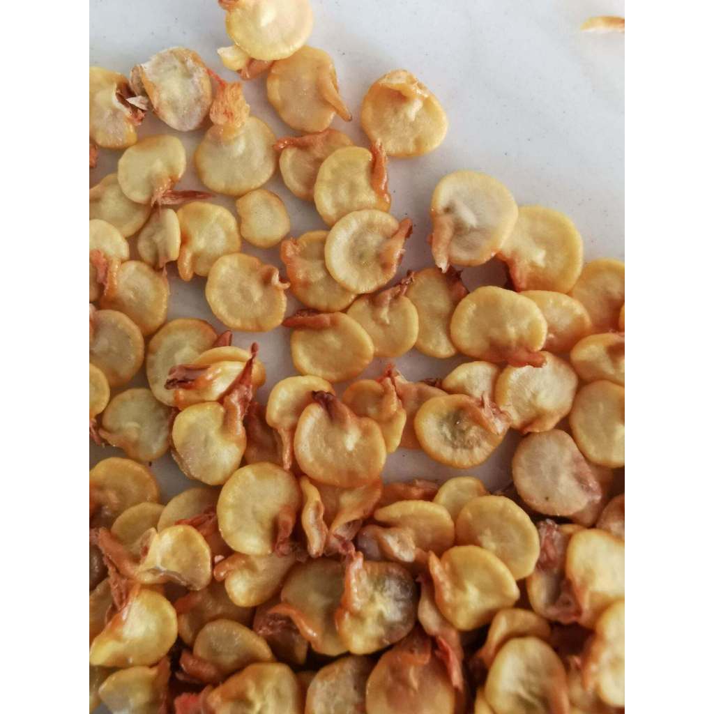 Benih Lada Putih Sabah KURANG PEDAS | 50 Biji Baru Dari Buah Matang ...