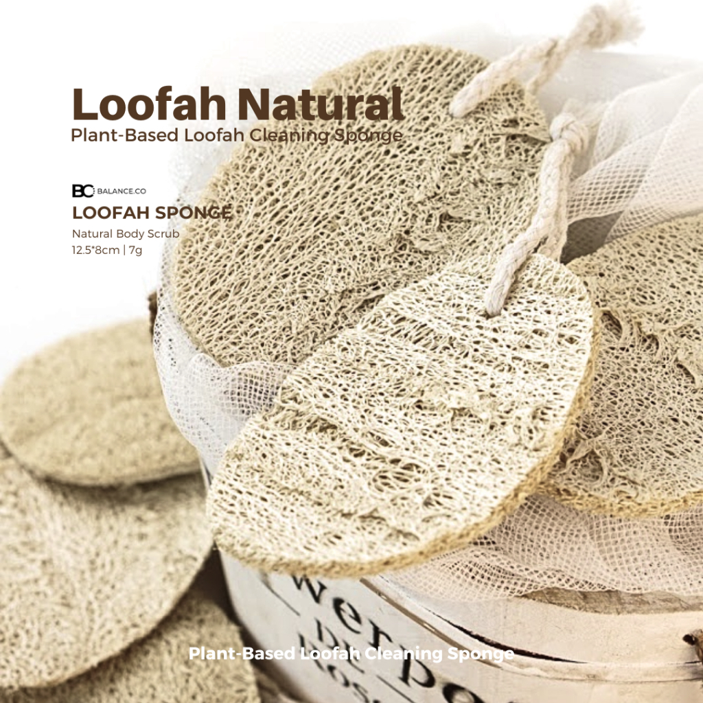 Natural Loofah Cleaning Sponge Dishwashing Hanging String Scouring Dish ...