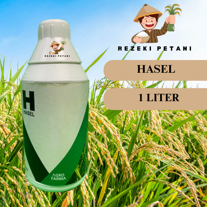 [ORIGINAL] 1L HASEL AGRO FARMA Baja vitamin untuk pokok dan batang Baja ...