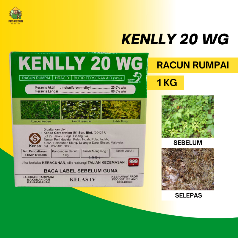 Kenlly 20WG Racun Rumput Alai Racun Ally Racun Serbuk Alai Racun Rumput ...