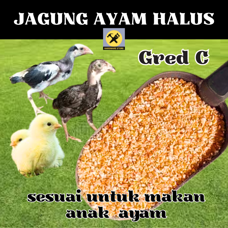 JAGUNG HALUS 5KG ( Gred C) Untuk Anak Ayam dan itik ,Chicken Feed 小鸡饲料 ...