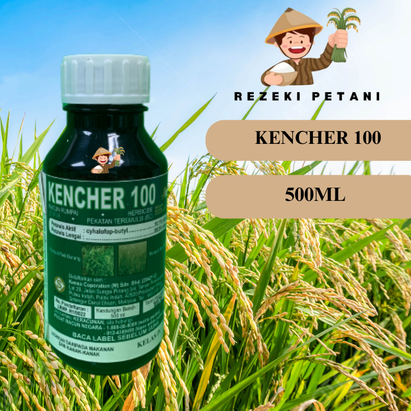 [ORIGINAL] 500ml Kenso KENCHER 100 (sama Clincher)Racun Rumpai Rumput ...