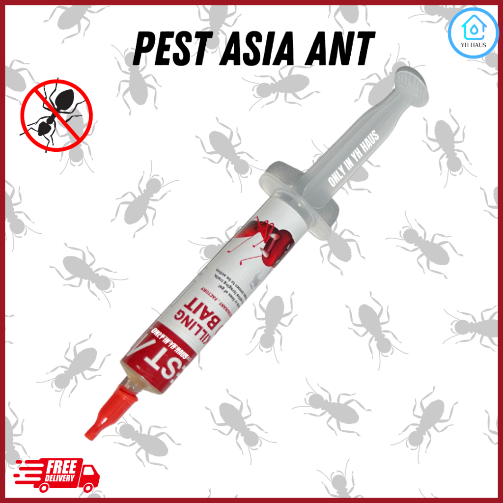 Pest Asia Ants Gel Bait (10g) killer Ubat Semut Cockroach Lipas ...