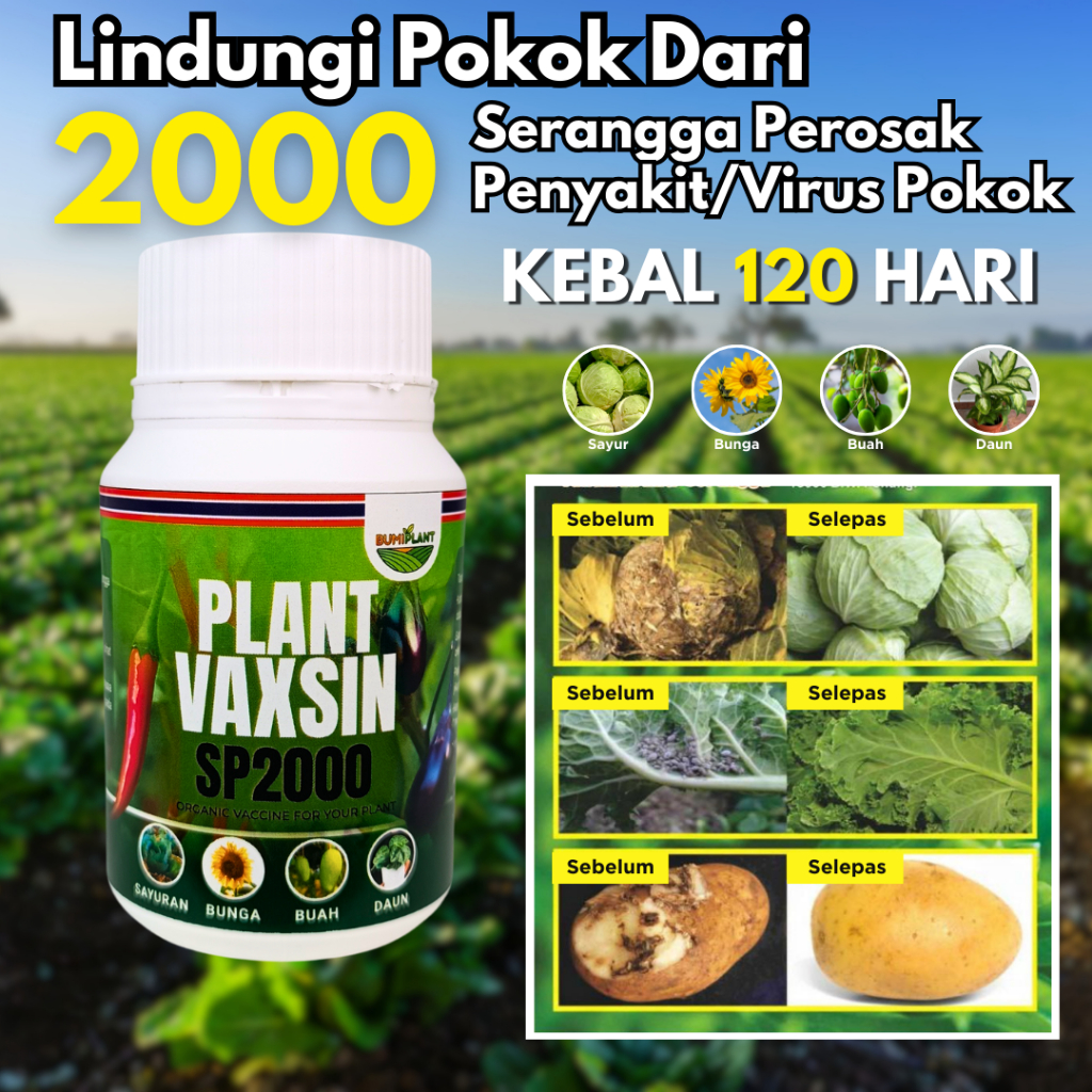 PLANT VAXSIN SP2000 | Imunisasi Pokok | Lindungi Dari 2000 Jenis Perosak | Original HQ | Shopee ...