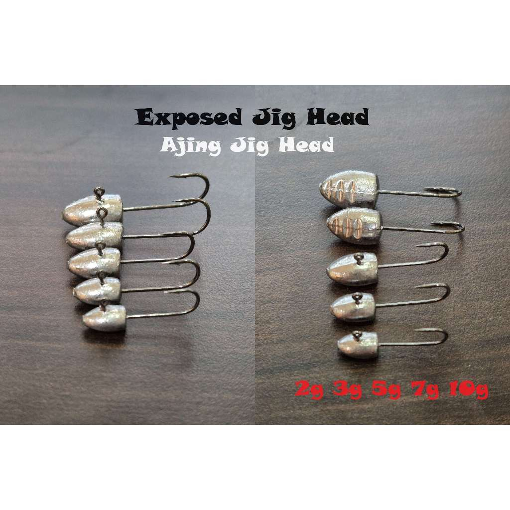 H017 - Exposed Jig Head Hook/ Ajing Fishing Hook/ Rock Fishing / Mata ...