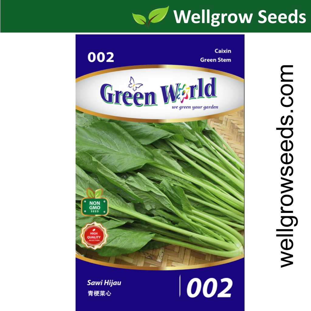 Caixin Green Stem (10gm) Choy Sum Choi Sum 绿茎菜心 Biji Benih Sawi Hijau Green World GW002 | Shopee ...