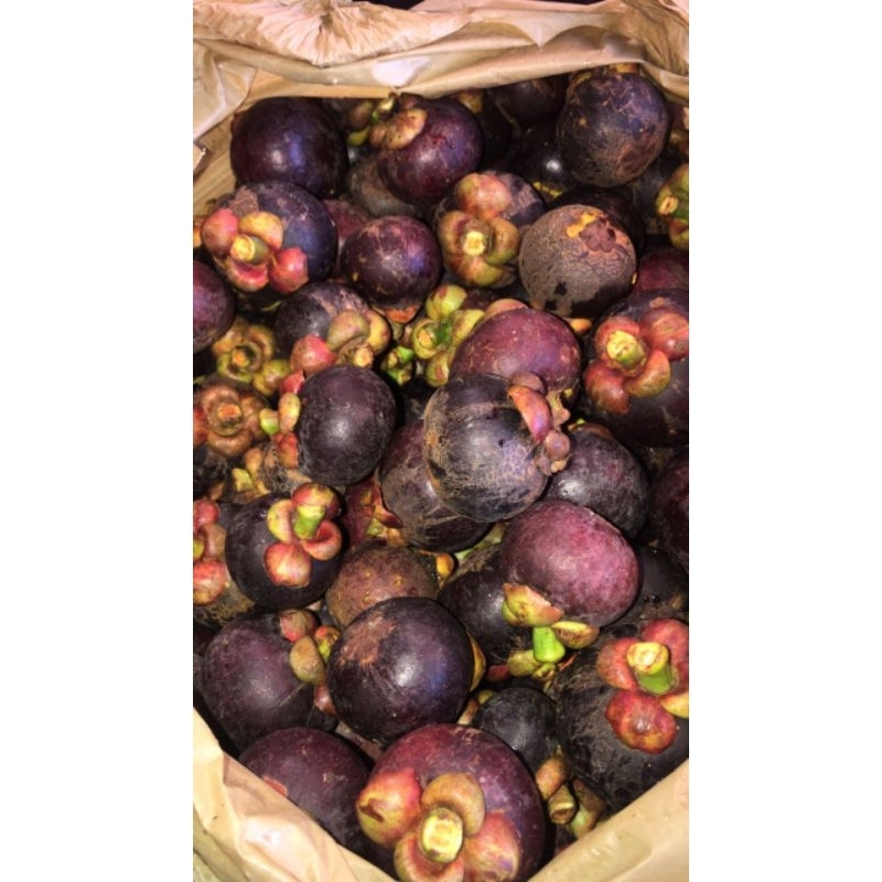 manggis tempatan 1 kilo | Shopee Malaysia