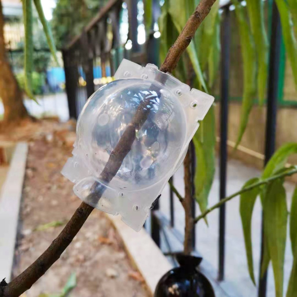 Air Layering High Pressure Plant Rooting Ball Propagating Device ...