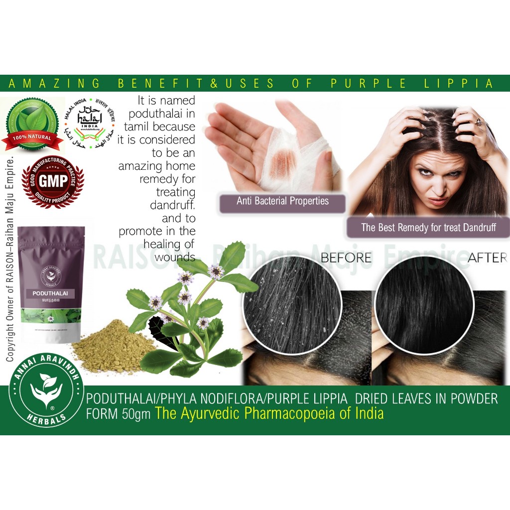 PODUTHALAI/PHYLA NODIFLORA/PURPLE LIPPIA DRIED LEAVES IN POWDER FORM ...