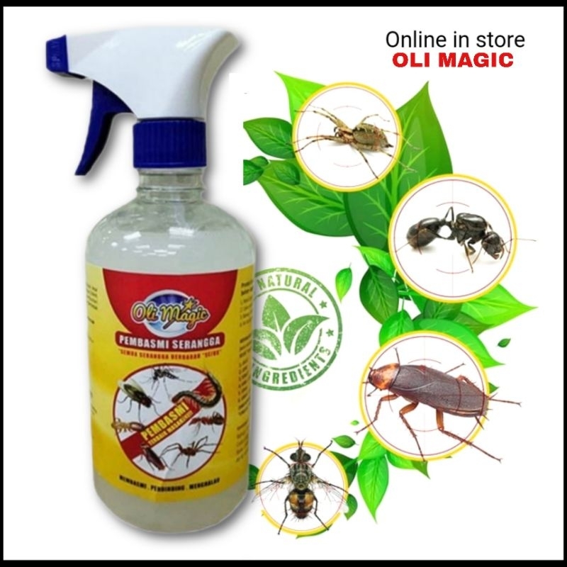 Spray Serangga OLI MAGIK pembasmi serangga 500ml spray lipas kereta ...