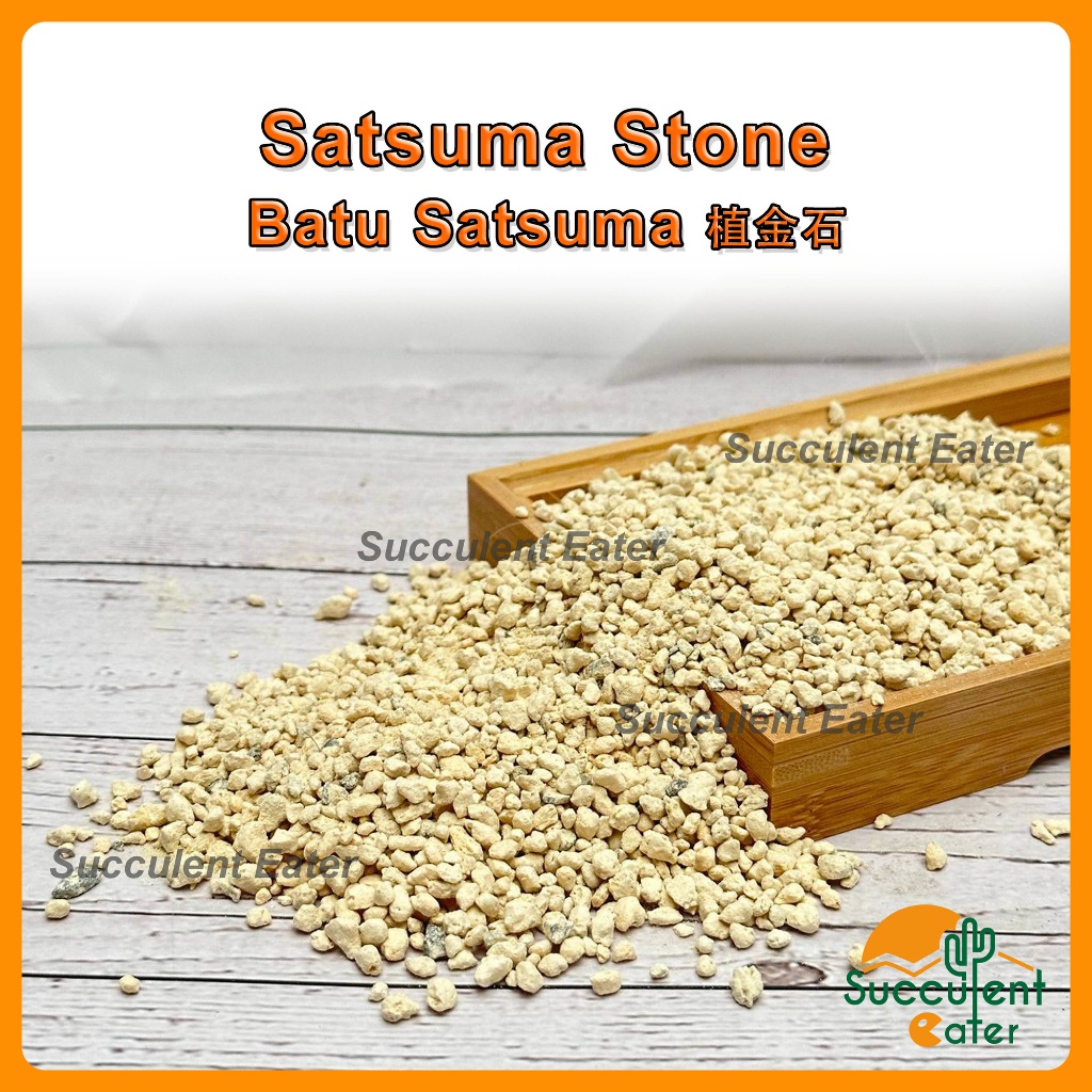 Satsuma Stone 1L Succulent and Cactus Media Orchid Soil 植金石 兰花多肉 ...