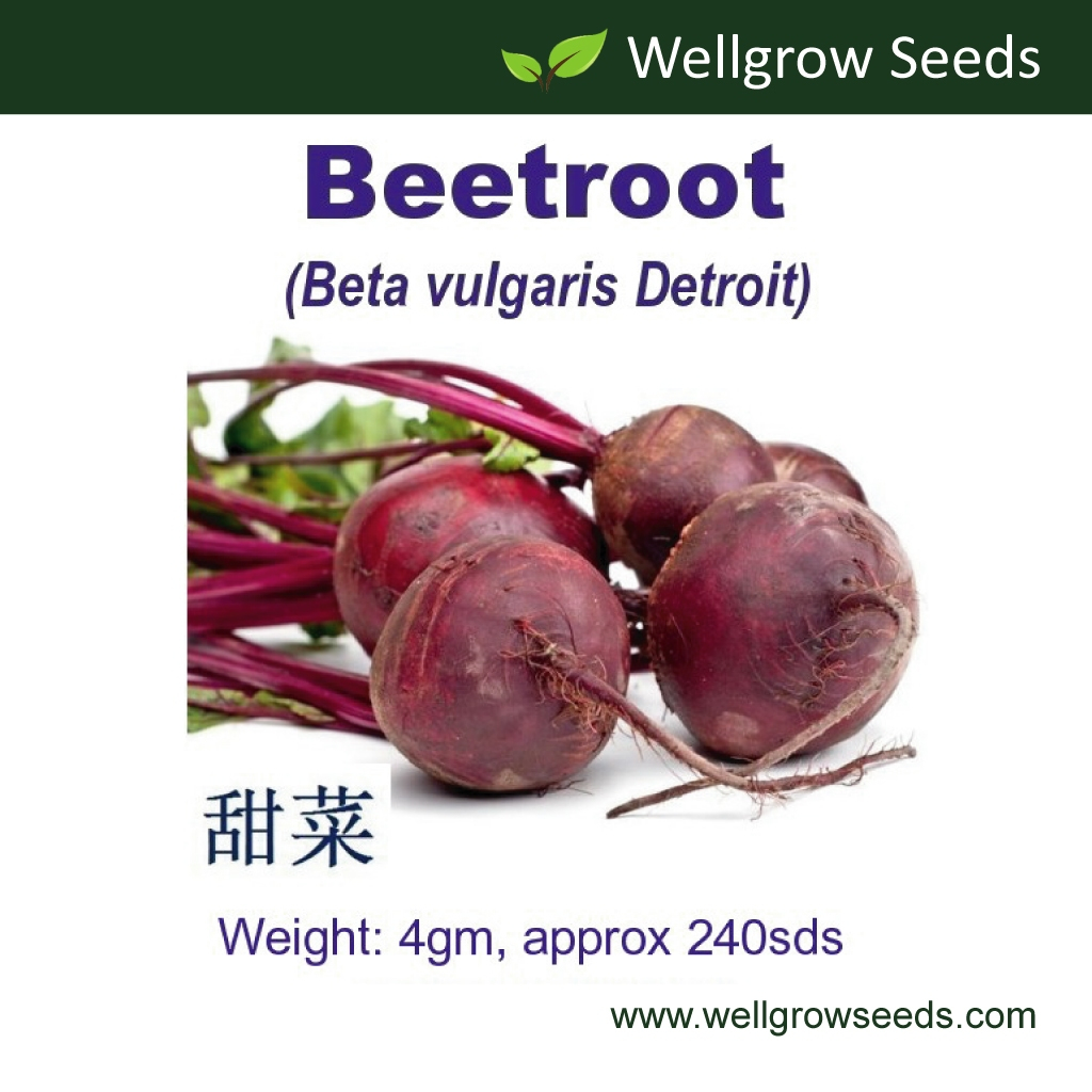 Beetroot Seeds (4gm, approx 240 sds) 甜菜 Ubi Bit Merah Root Vegetable ...